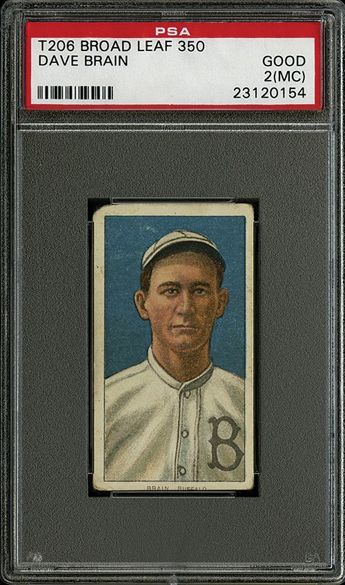 1909-1911 T206 White Border Dave Brain - Broad Leaf 350 Back - Only ...