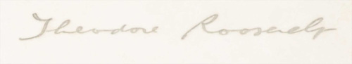 1901 Teddy Roosevelt Signed Letter with Original Mailing Envelope | REA ...