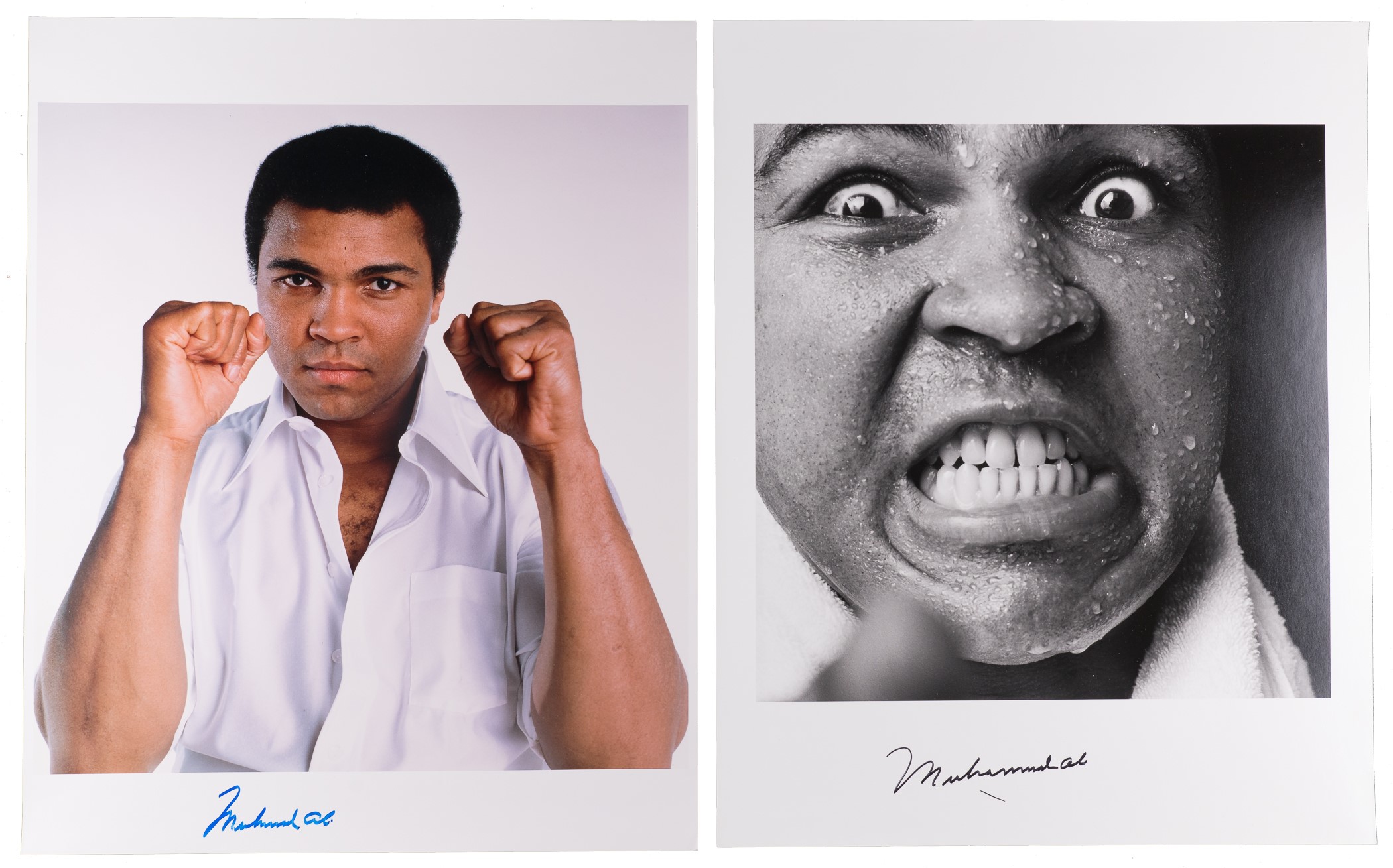 Rare Muhammad Ali Signed Oversized (16 x 20) Photograph Collection (8 ...