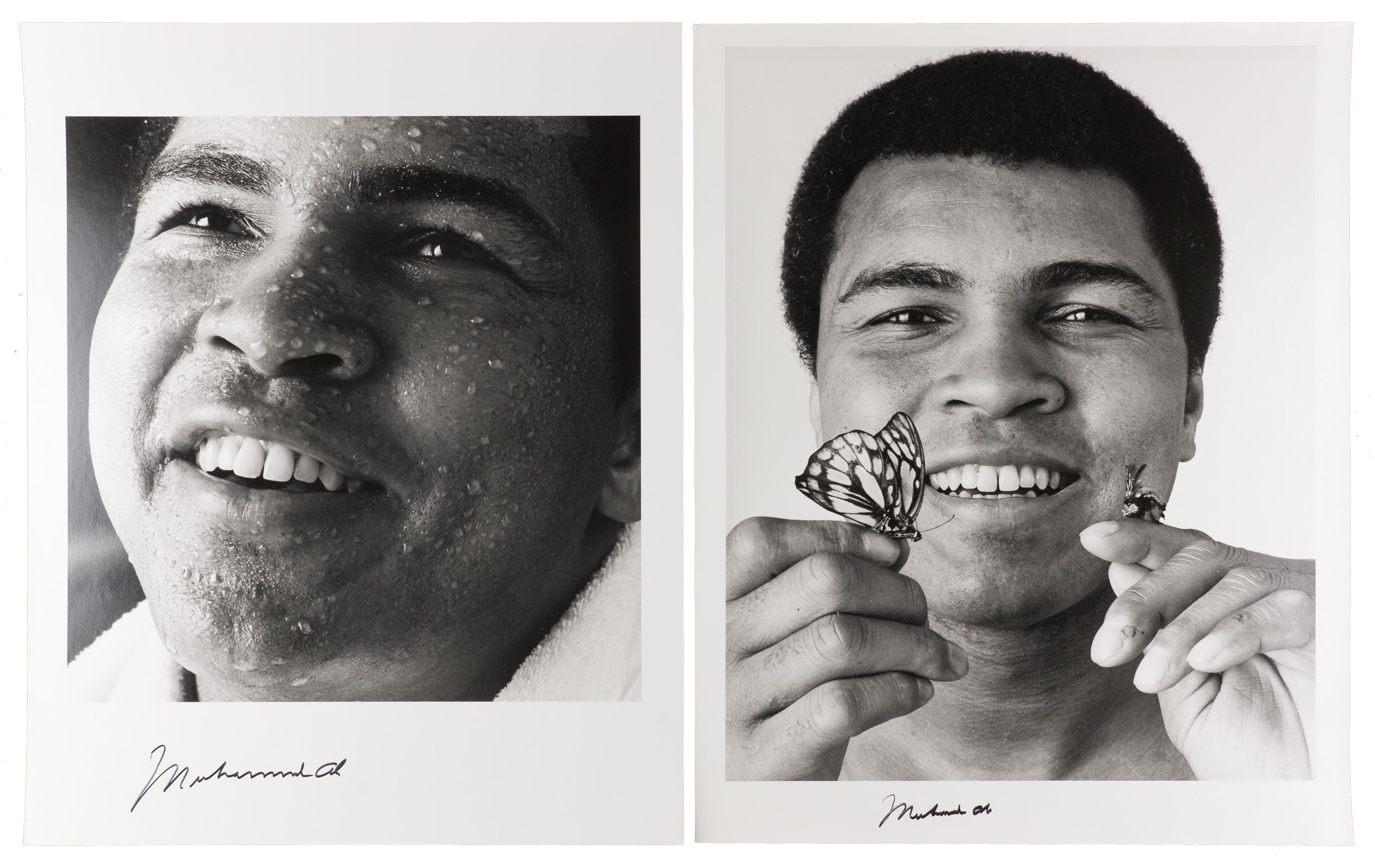 Rare Muhammad Ali Signed Oversized (16 x 20) Photograph Collection (8 ...