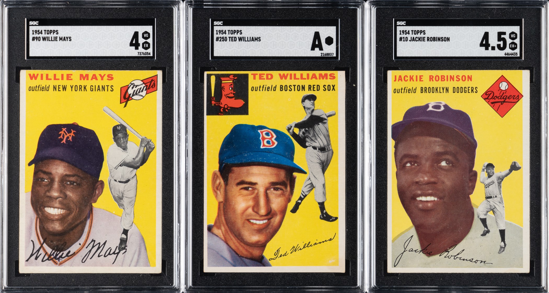 1954 Topps Complete Set (250) | REA Archive