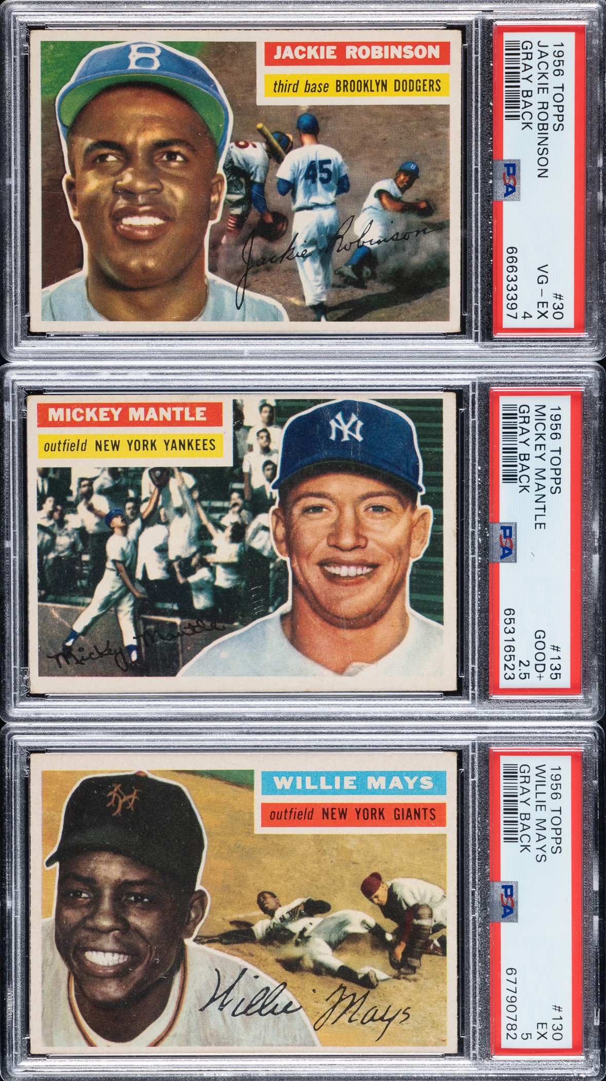 1956 Topps Complete Set (340 Plus Two Checklists) | REA Archive