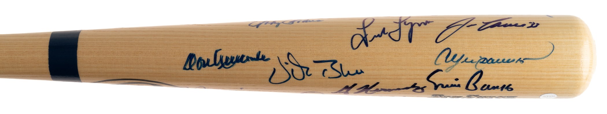 Most Valuable Player (MVP) Multisigned Bat (19 Signatures) Including ...