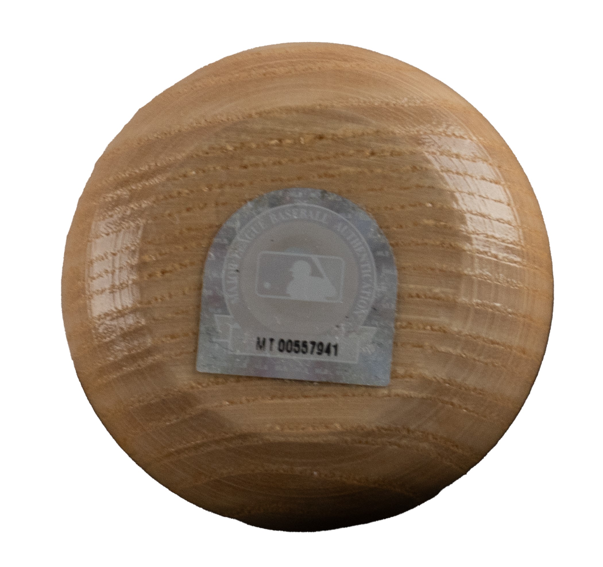 Most Valuable Player (MVP) Multisigned Bat (19 Signatures) Including ...