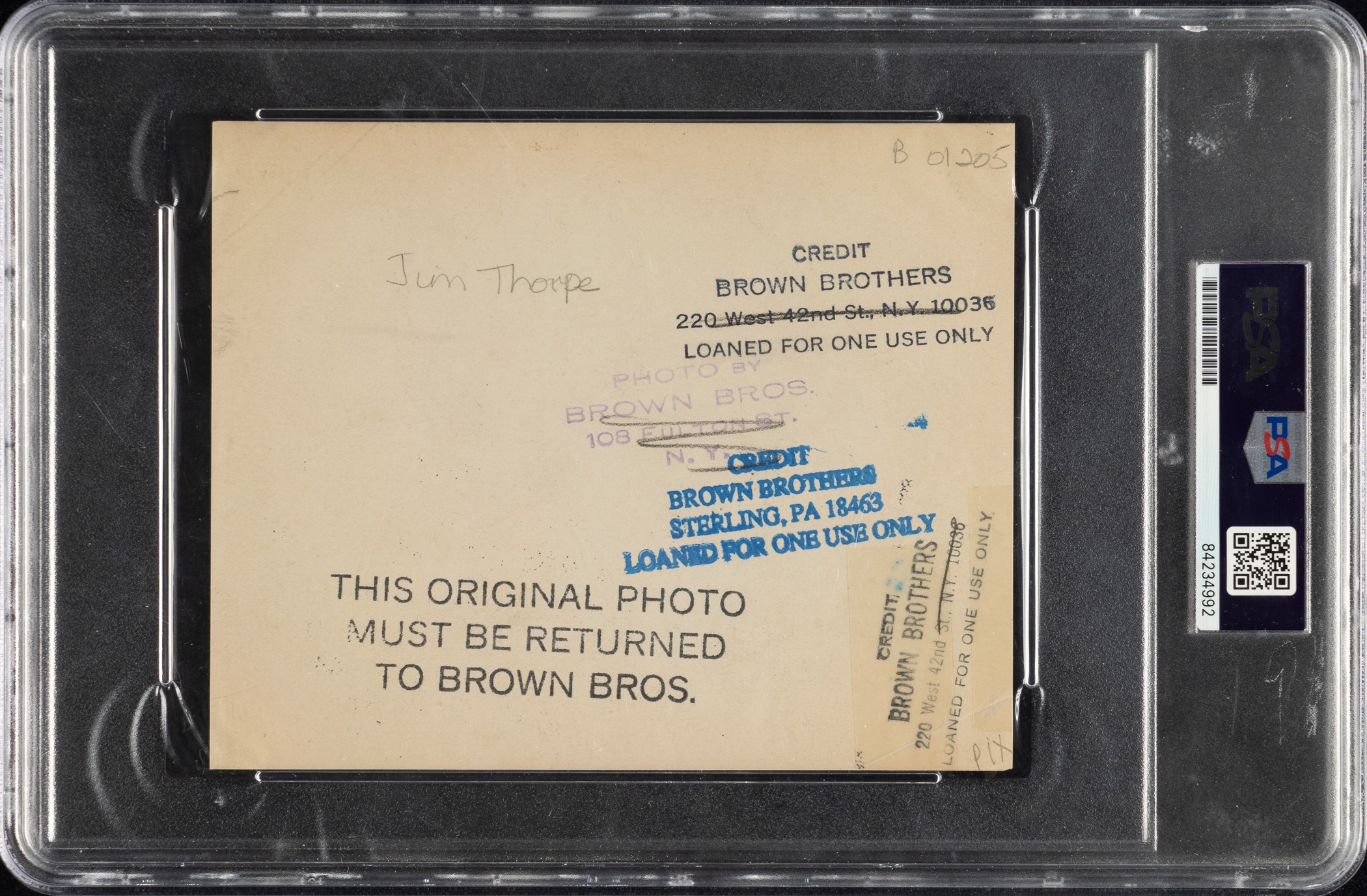 Circa 1910s Jim Thorpe Original Brown Brothers Photograph PSA/DNA Type ...
