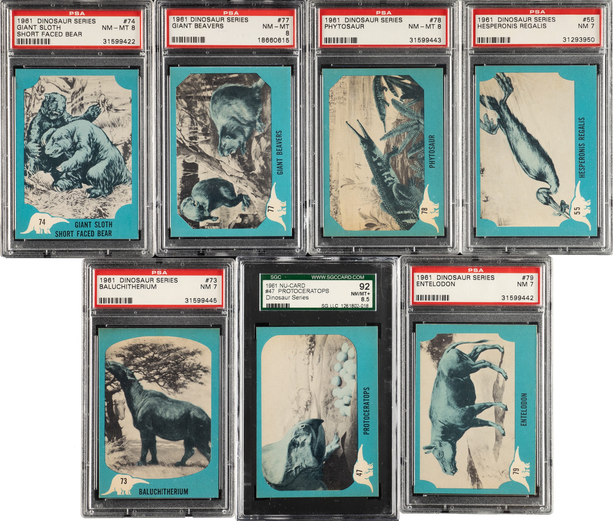 1961 Nu-Card "Dinosaur Series" Complete Set (80) Including 19 PSA- and ...