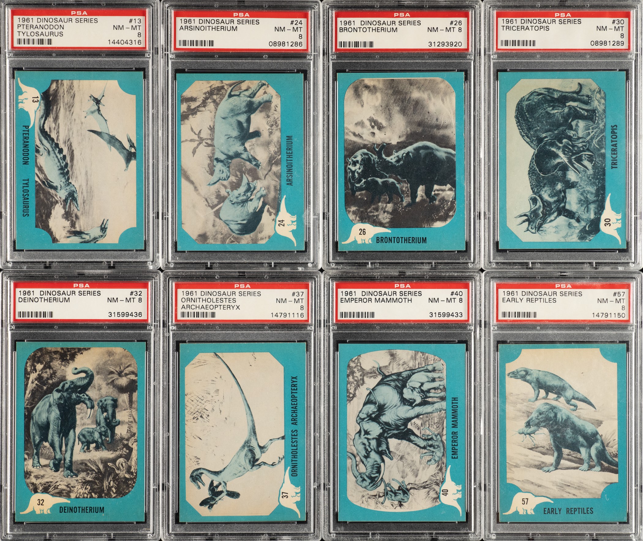1961 Nu-Card "Dinosaur Series" Complete Set (80) Including 19 PSA- and ...