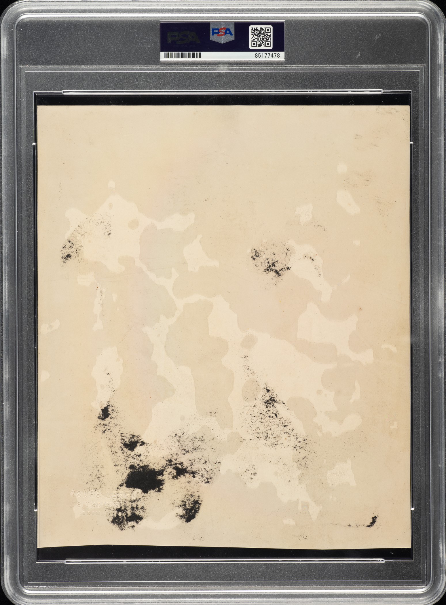 Circa 1920s Ty Cobb Original Alfred Brust Photograph PSA/DNA Type I ...