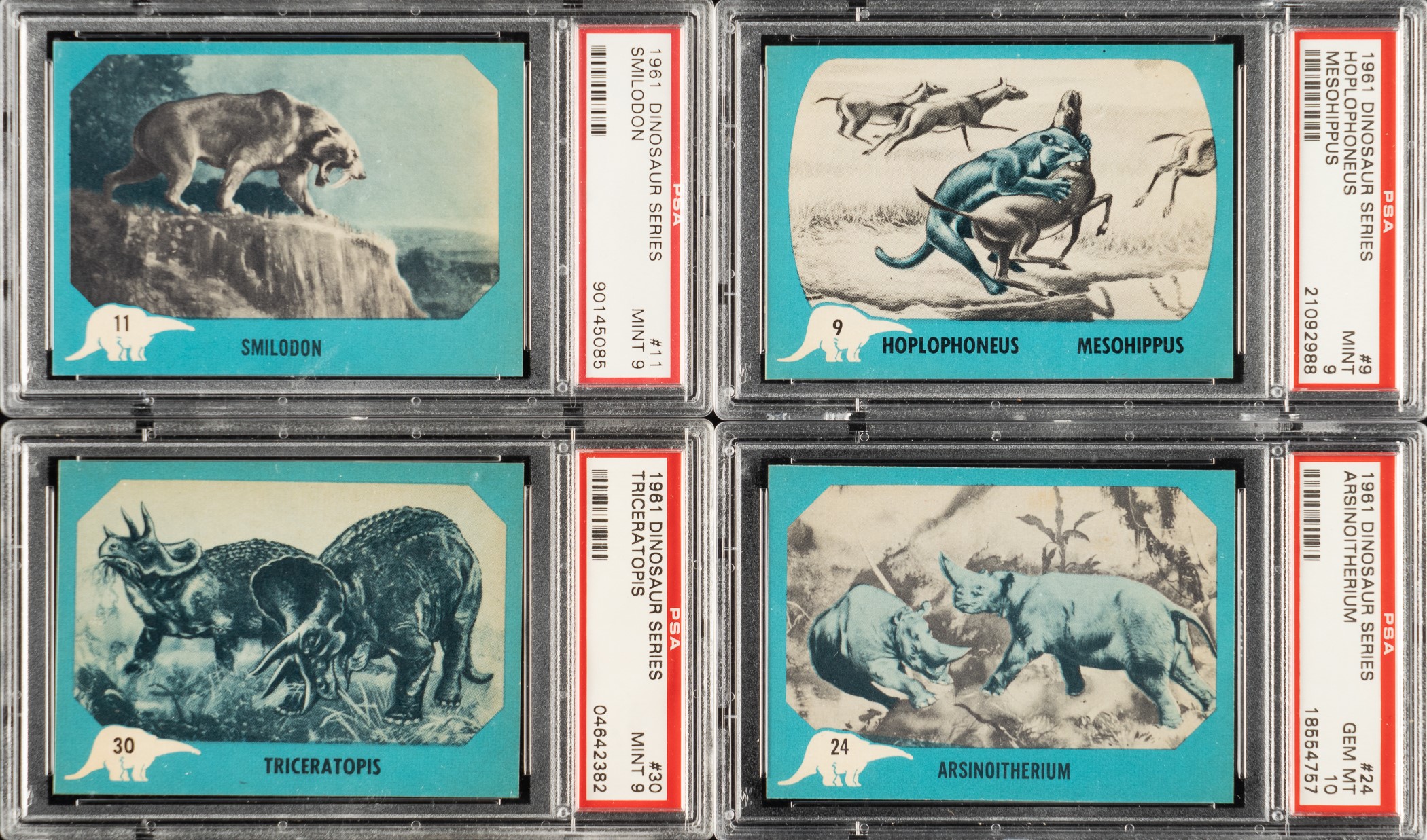 1961 Nu-Card "Dinosaur Series" Complete Set (80) Including 52 PSA ...