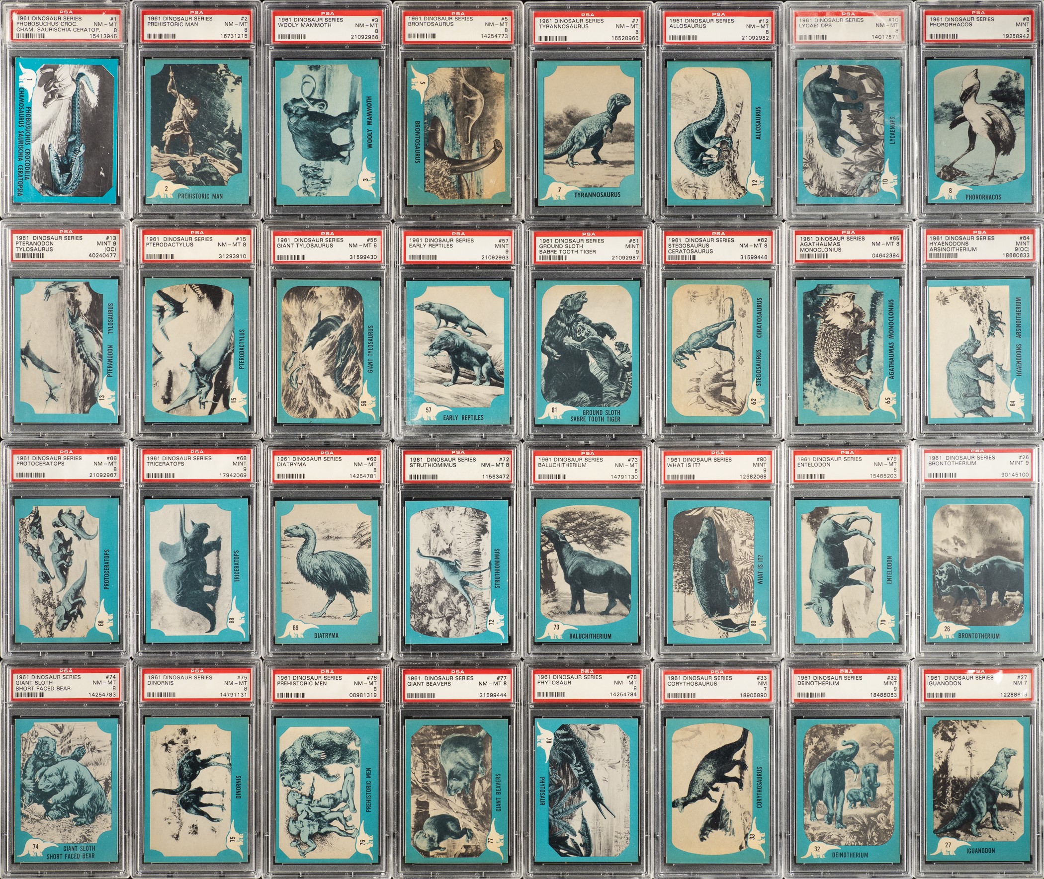 1961 Nu-Card "Dinosaur Series" Complete Set (80) Including 52 PSA ...